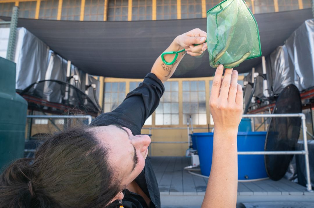 Restoration Hydro | Hydropower As A Restoration Tool