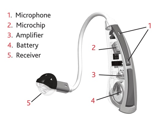 How Hearing Aids Work
