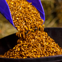 Stratton Field Livery Stables