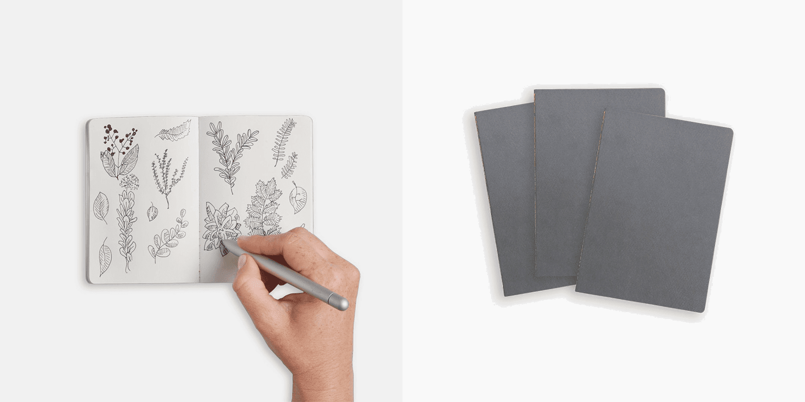 Brand Highlight: Baron Fig