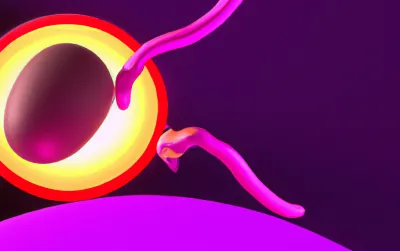 The egg retrieval procedure