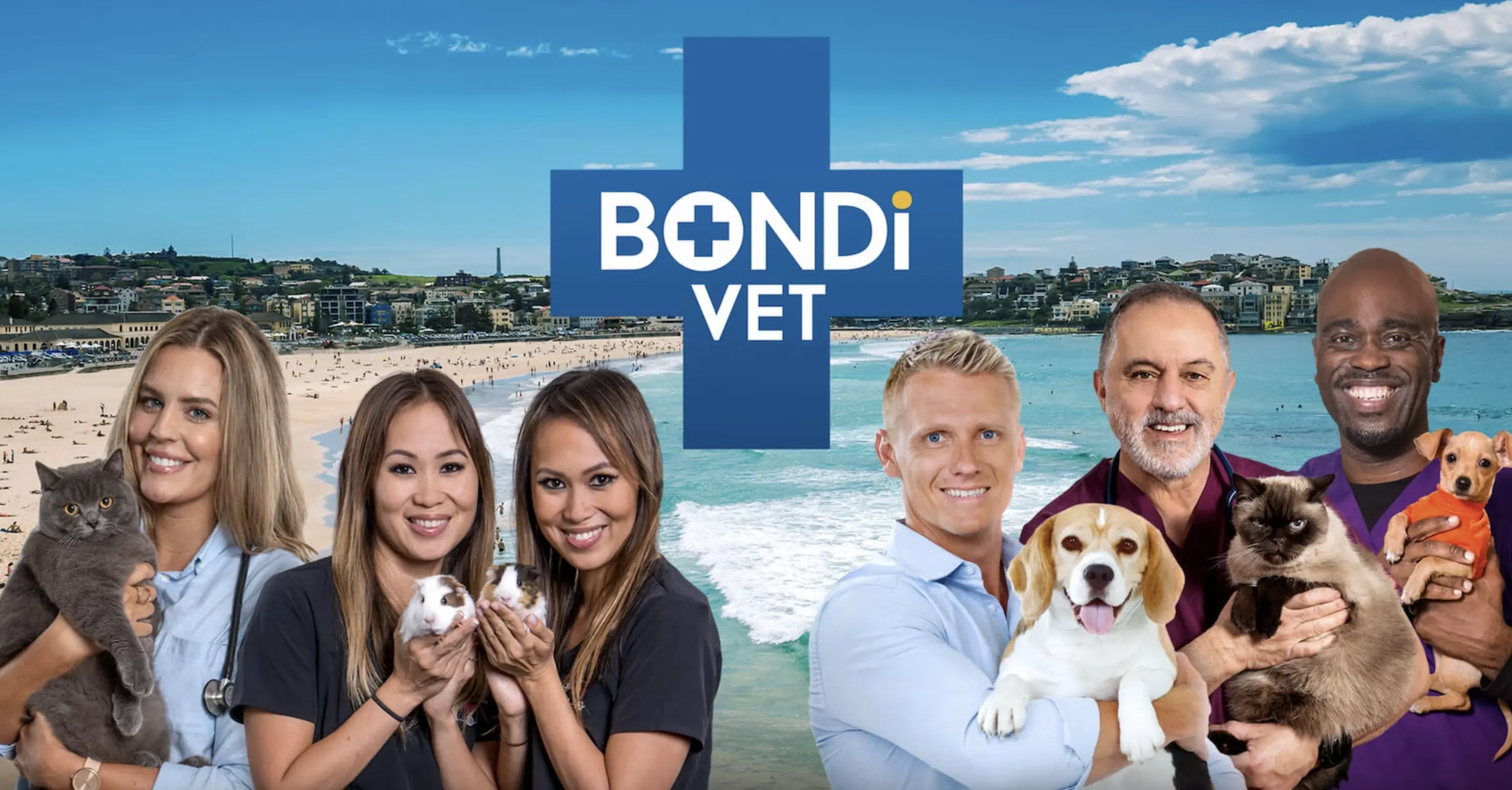 Bondi Vet