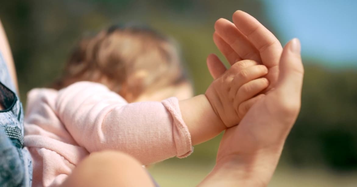 Inside Origins: Discover The Real Reasons You Need A Fostering Link ...