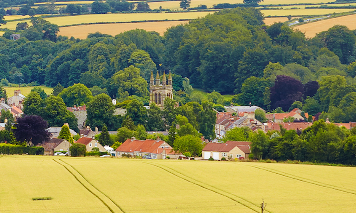 Zest and Ryedale District Council announce partnership to bring ...