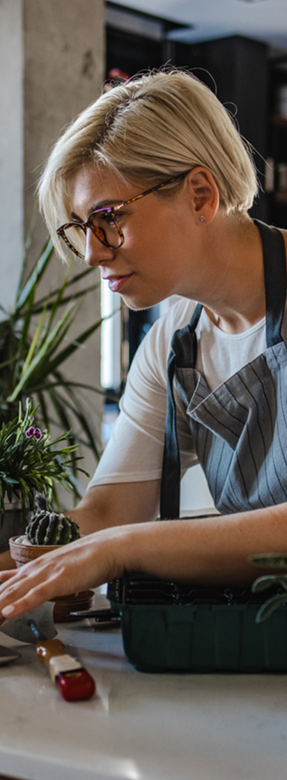 Plus Advisors: Premium Bookkeeping and Profit First Services Ottawa