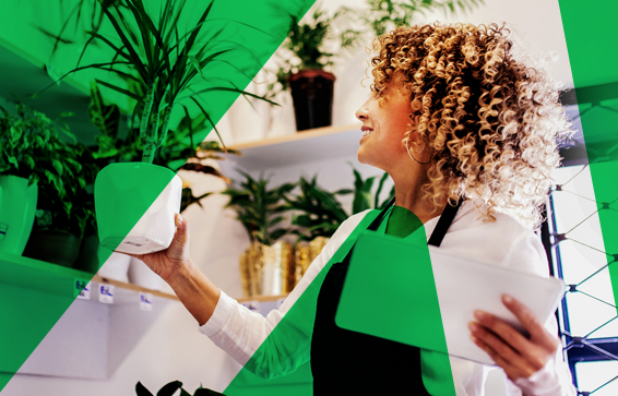 Plus Advisors: Premium Bookkeeping and Profit First Services Ottawa
