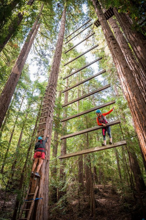 Luxury Hotel Santa Cruz Mountains, CA | Chaminade Resort & Spa