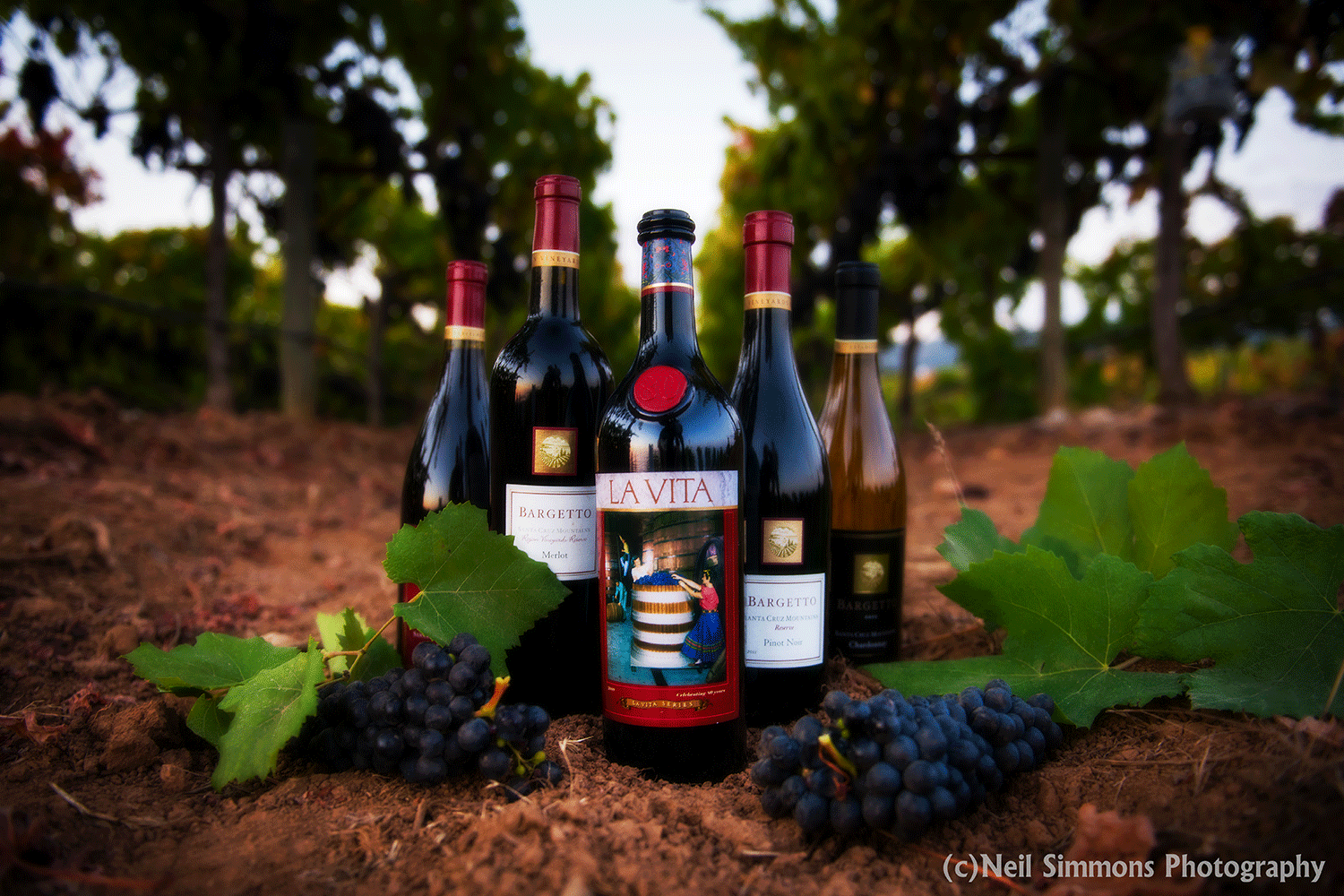 Best Wineries in Santa Cruz, CA | Chaminade Resort & Spa