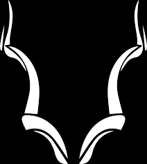 Black Buck Coffee Military Discount