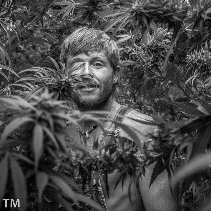 Meet Our Passionate Cannabis Experts | Collective Elevation