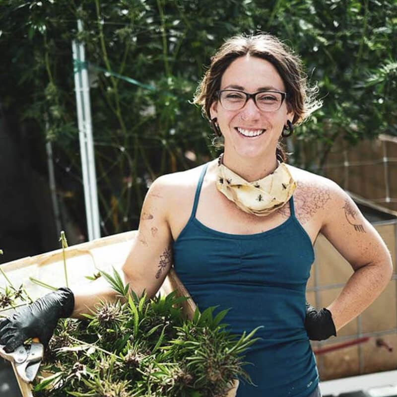 Meet Our Passionate Cannabis Experts | Collective Elevation