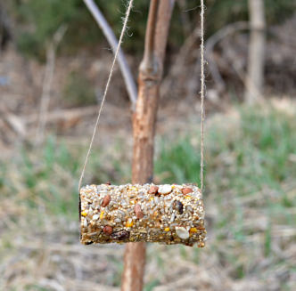 April Earth Day Crafts for Kids