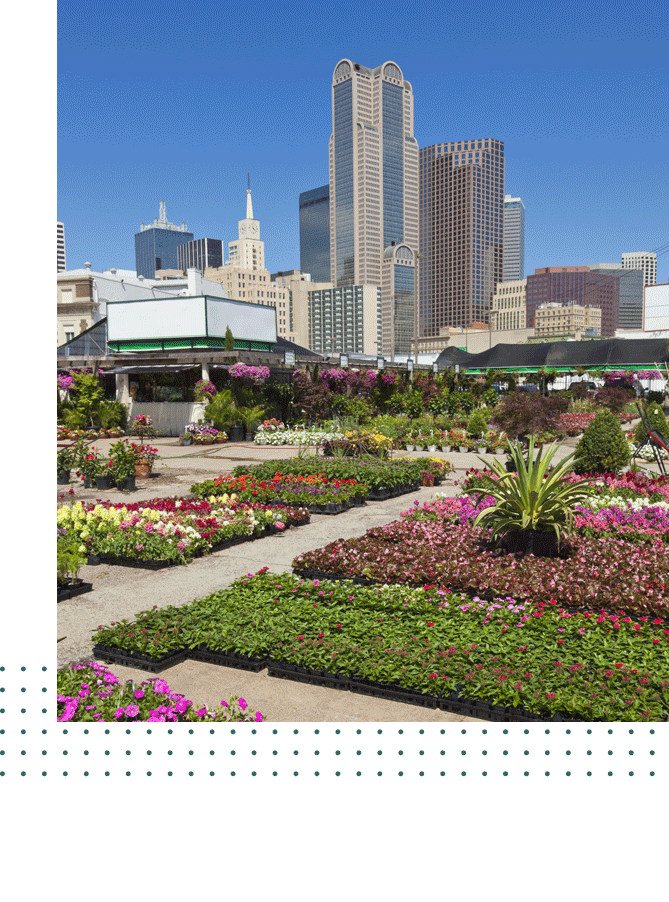 HOA Property Management Company | Associa PMG North Texas