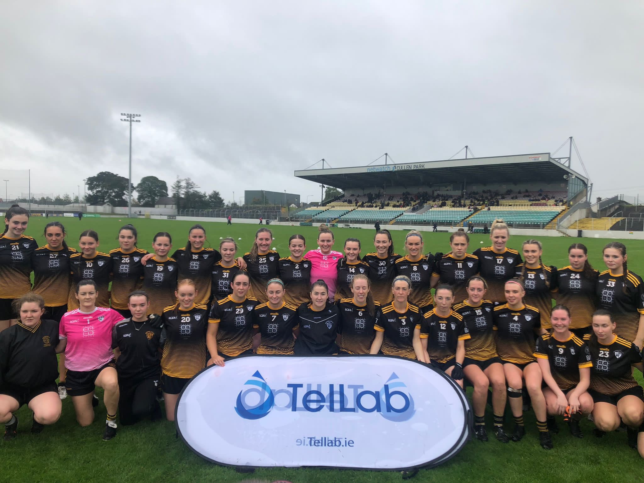 Bennekerry/Tinryland take Senior Ladies Football honours after another ...
