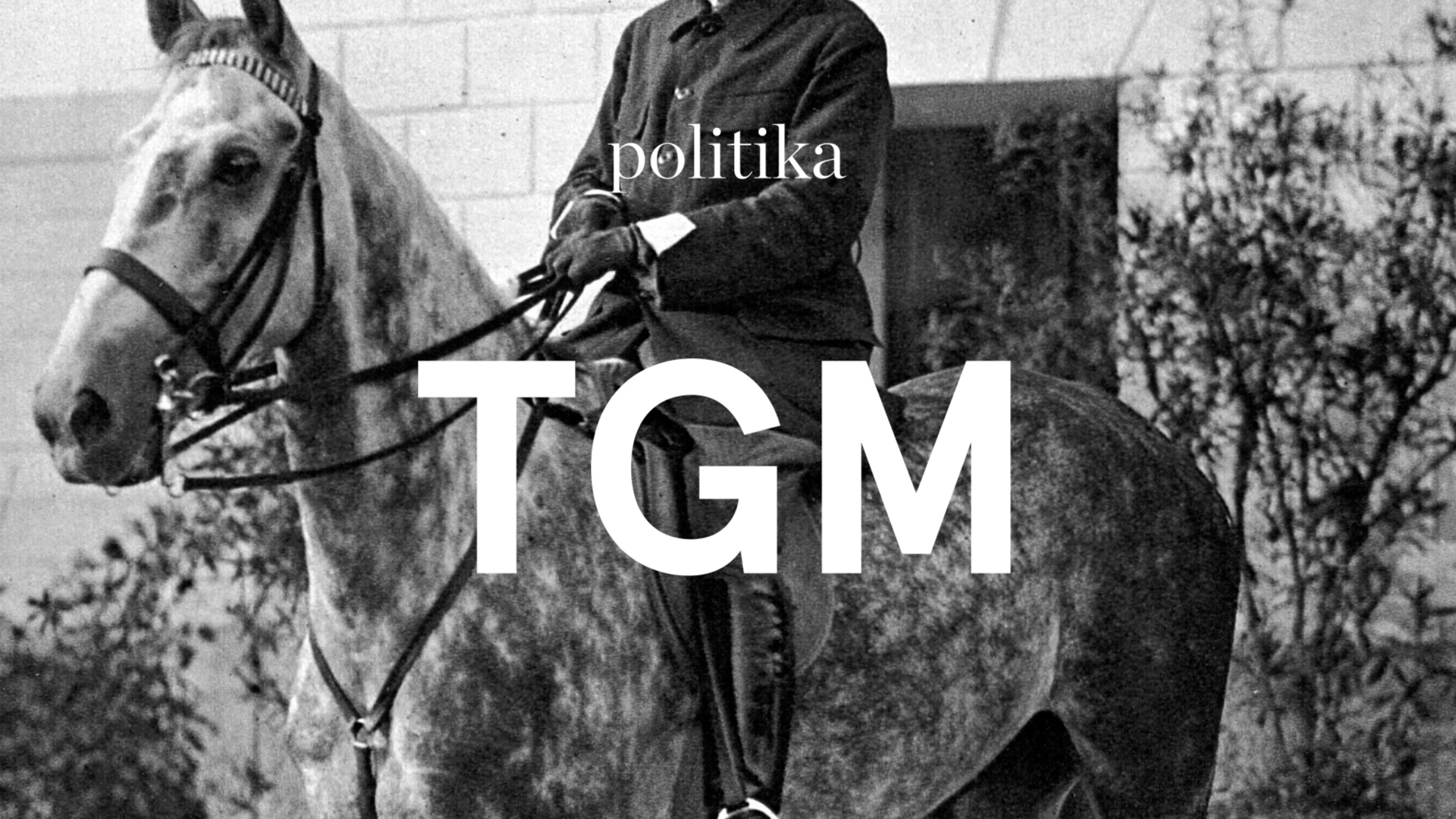 Mýtus jménem Masaryk: Politika TGM