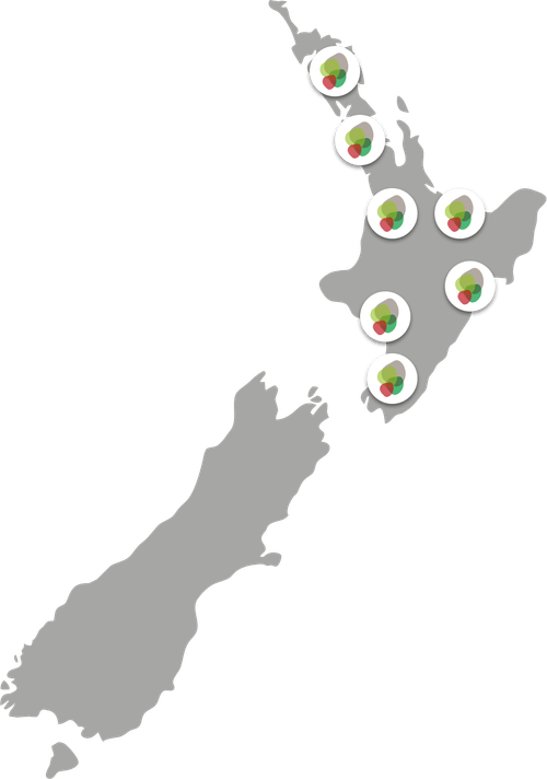 Landscaping Specialists in New Zealand | Zones Landscaping