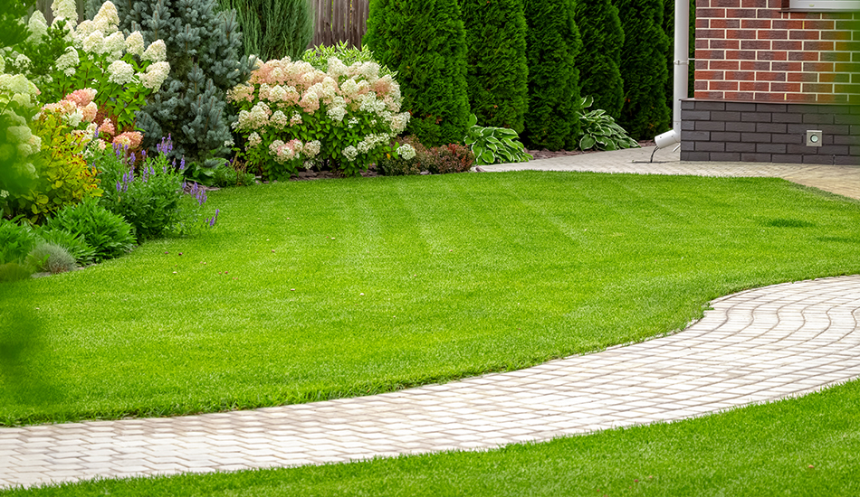 Landscape designers in New Zealand | Zones