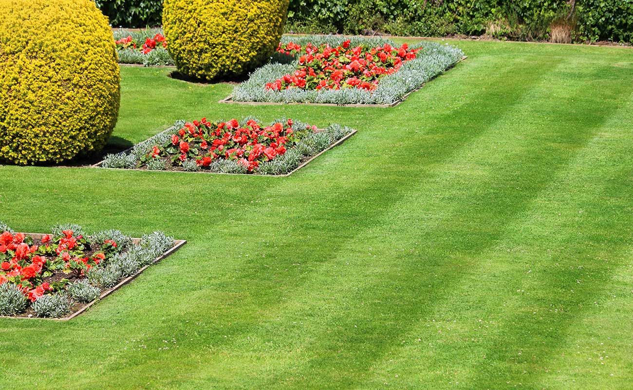 French style gardens | Article