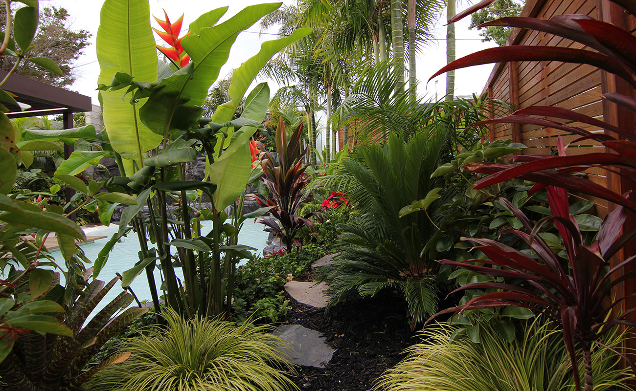 Franklin landscaping specialists | Article