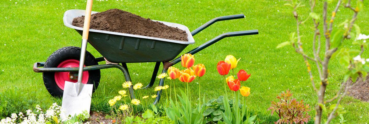 The landscape design checklist | Article