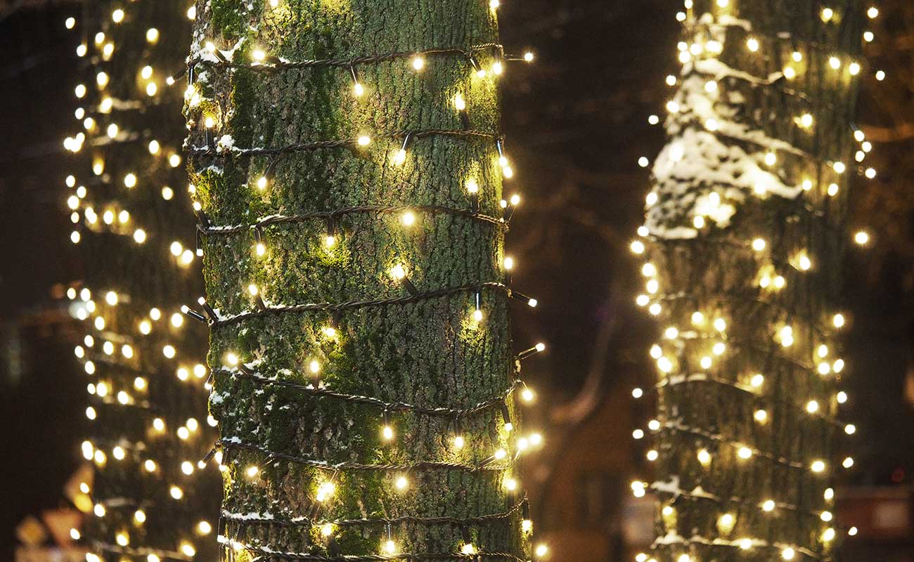 The Essential Guide to Outdoor Lighting | Article