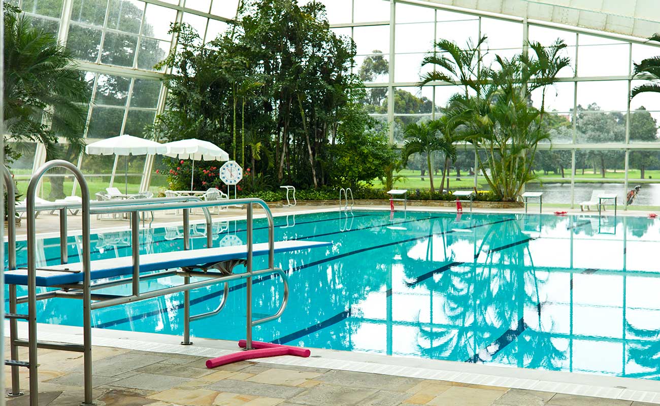 The Modern Greenhouse Guide | Article