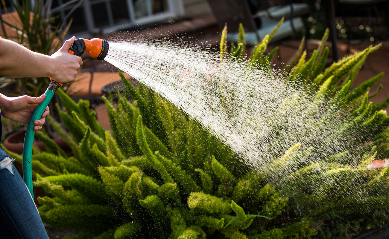 The Ultimate Guide to watering your garden | Article