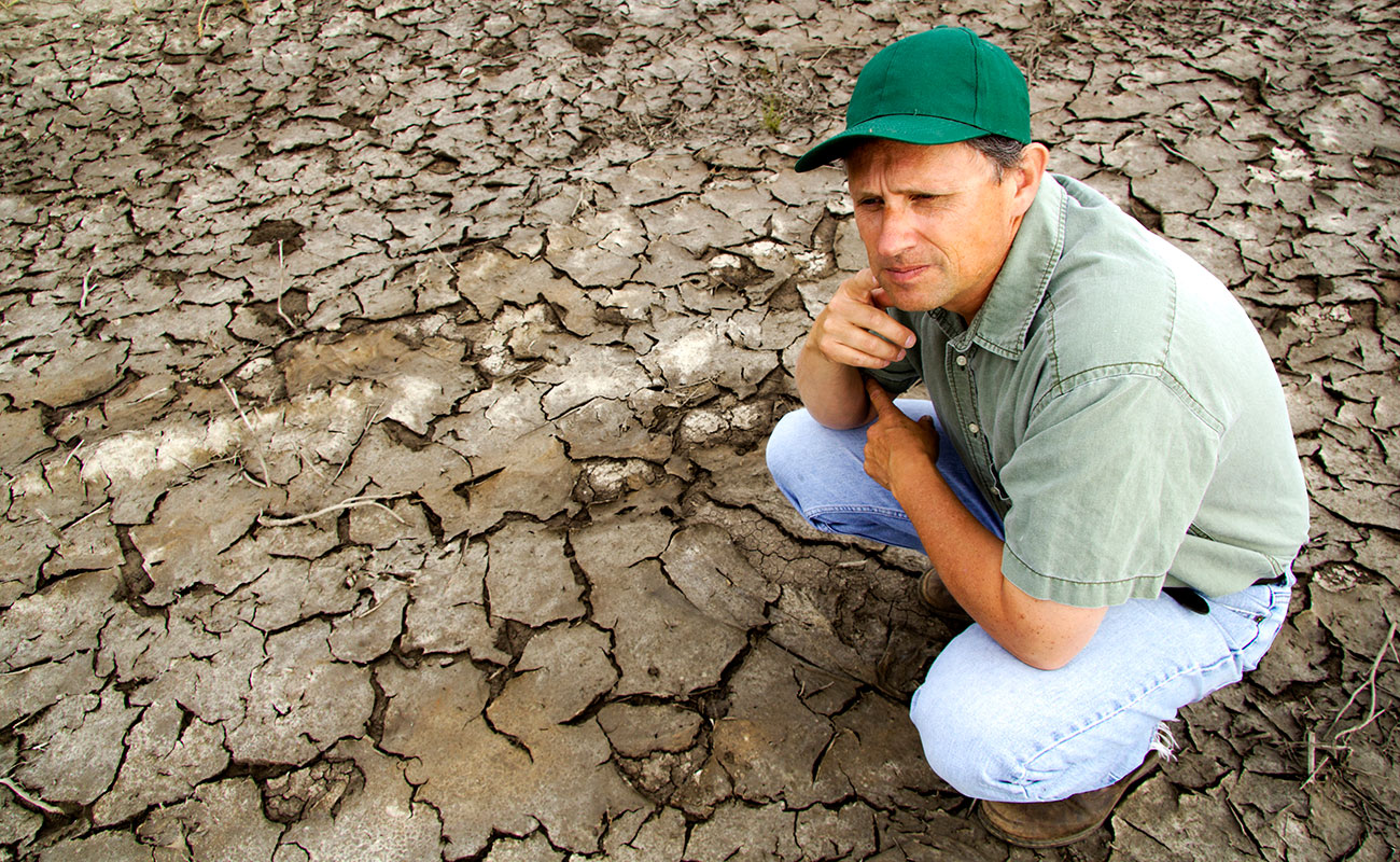 The Ultimate Guide to watering your garden | Article