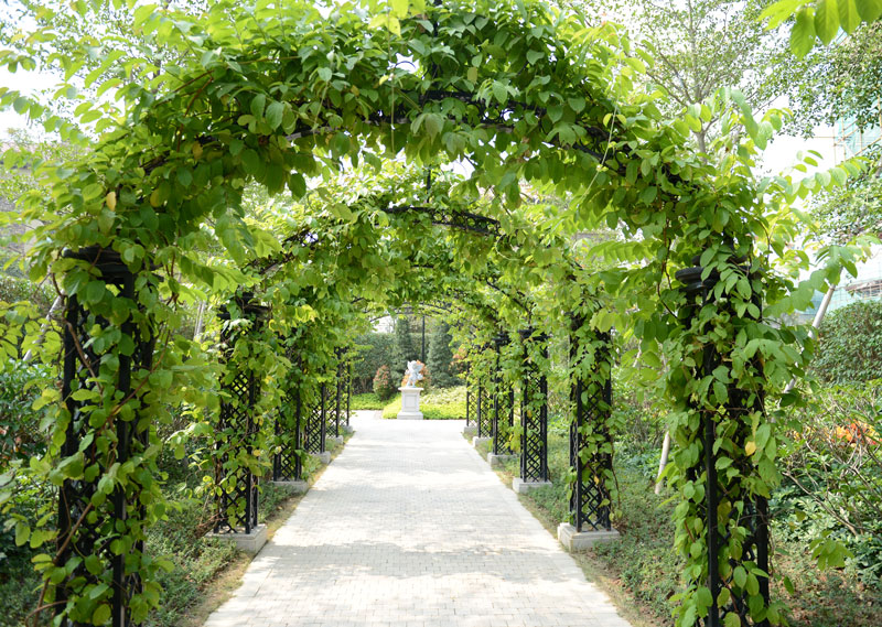 Top 5 Pergola Styles in New Zealand | Article