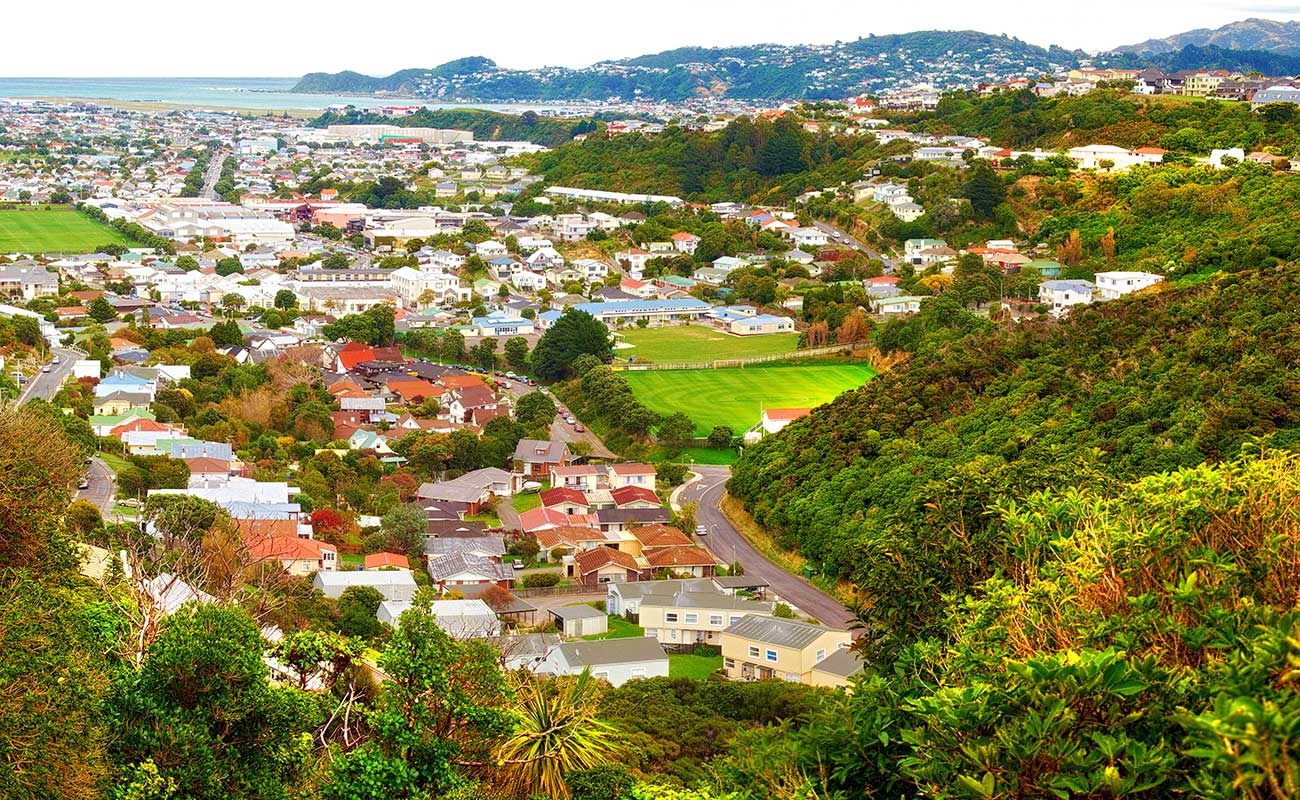 Wellington landscaping specialists | Article