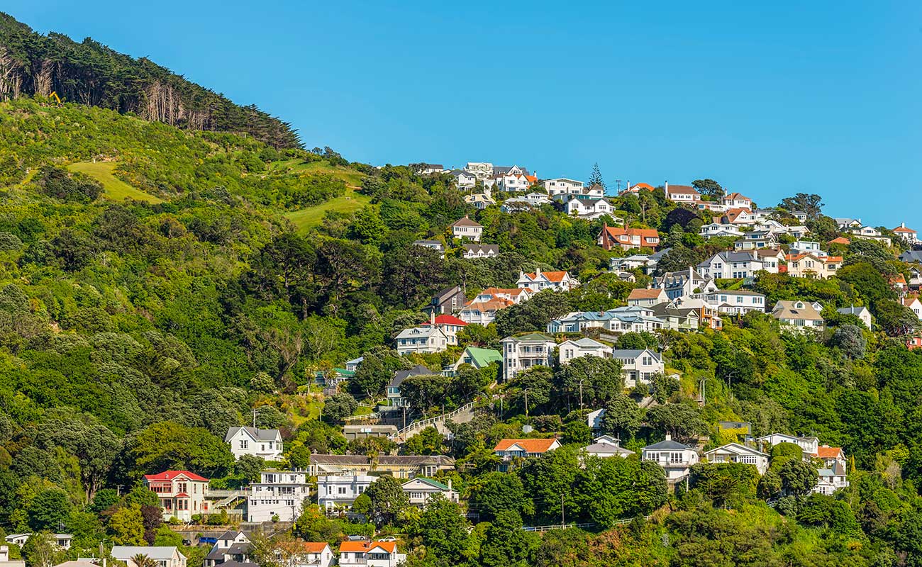 Wellington landscaping specialists | Article