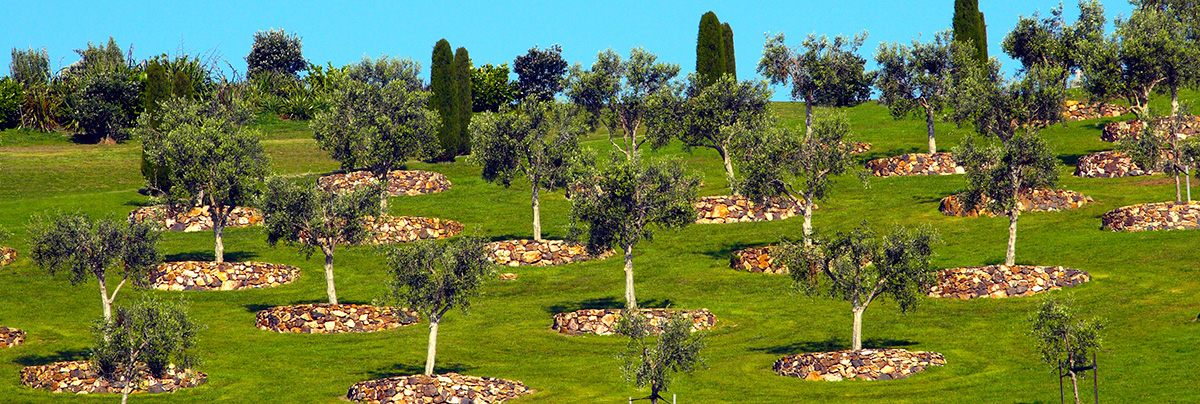 Franklin landscaping specialists | Article