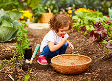 Kids vegetable gardens | Article