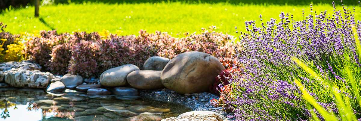 lawns - Things to Consider | Article