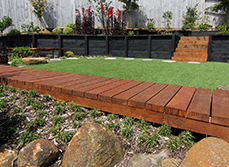 Macrocarpa in Landscaping | Article