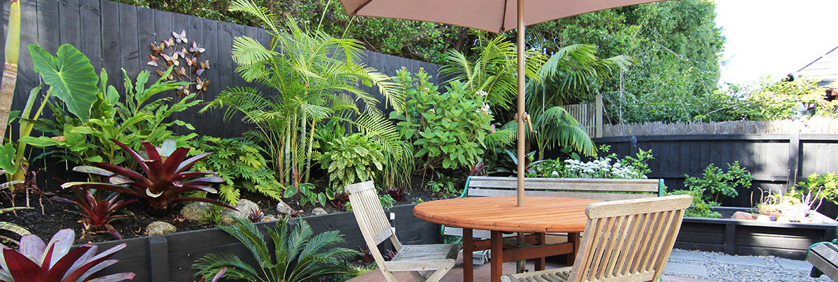 Tips and tricks for planting in a shaded garden | Article