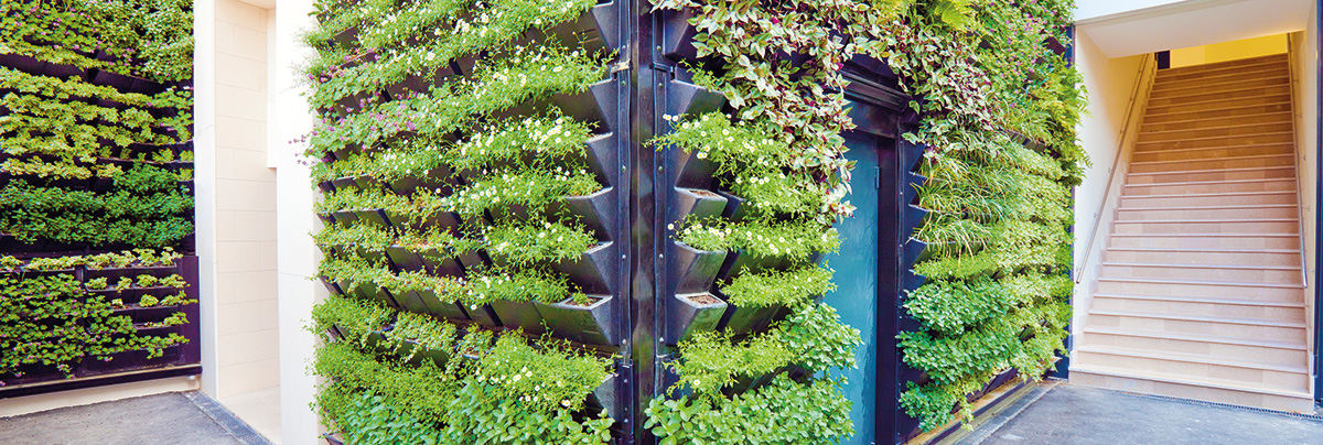 Vertical gardens on building facades | Article