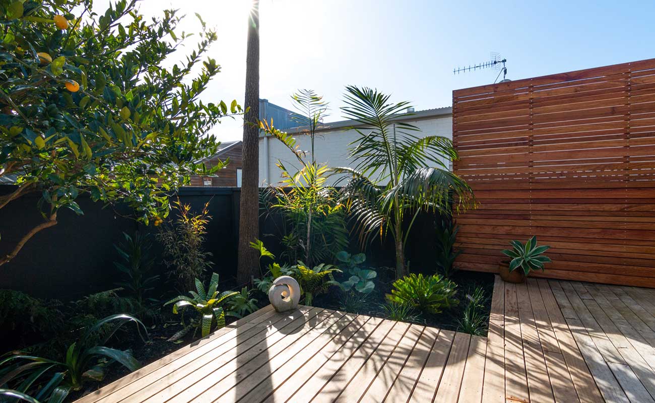 Tropical Landscape in Auckland | Project