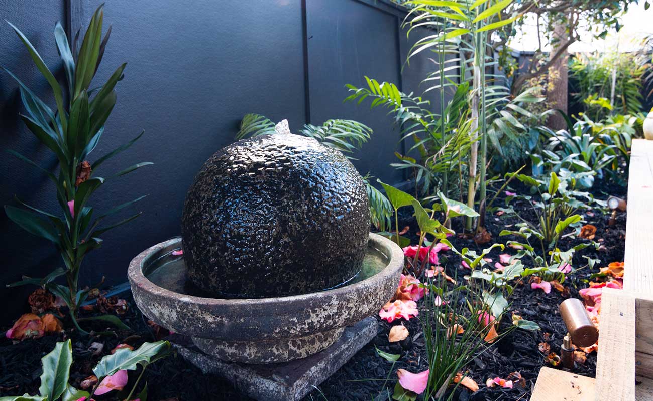 Tropical Landscape in Auckland | Project