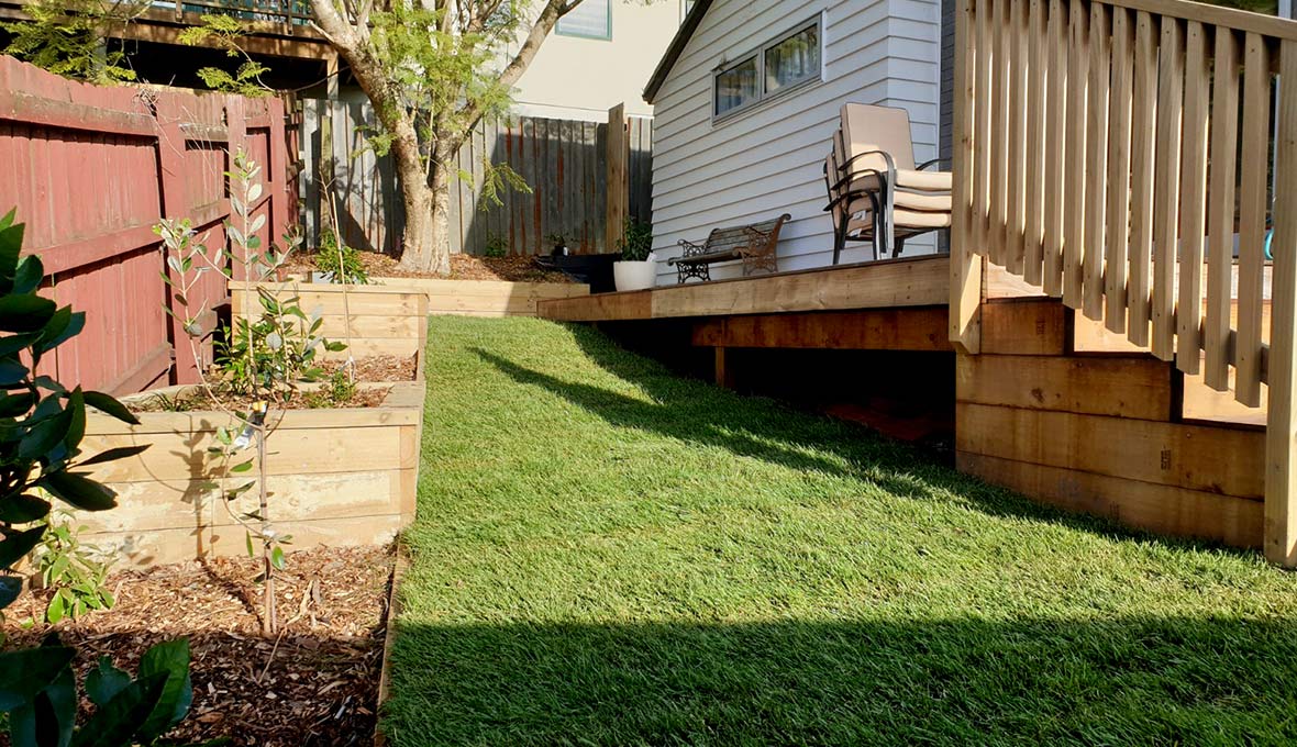 A new landscape design in West Auckland | Project