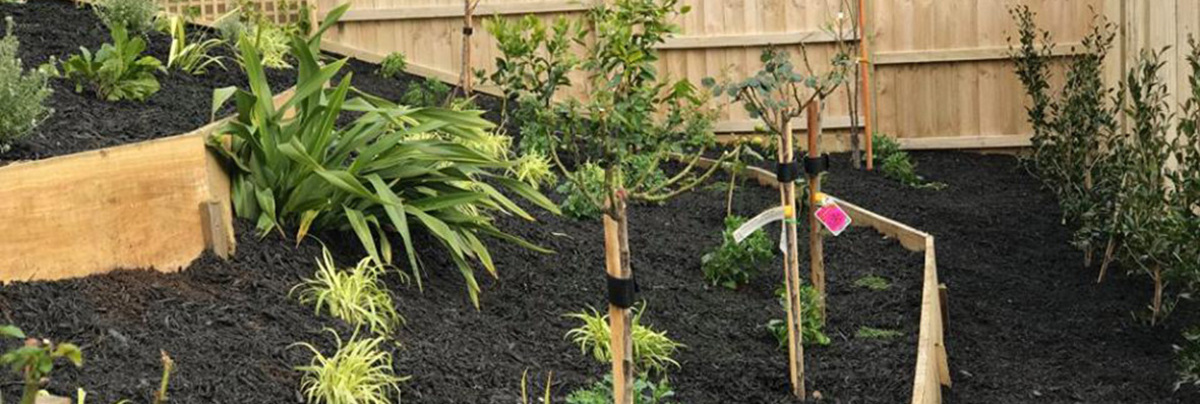 Clay-based garden in Whaley Greens, Millwater | Project
