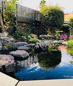 A garden wonderland in Tauranga | Project