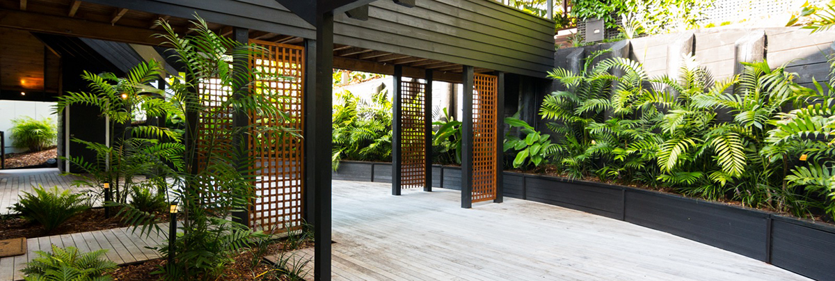 Modern Resort Style Landscape Design in Remuera | Project