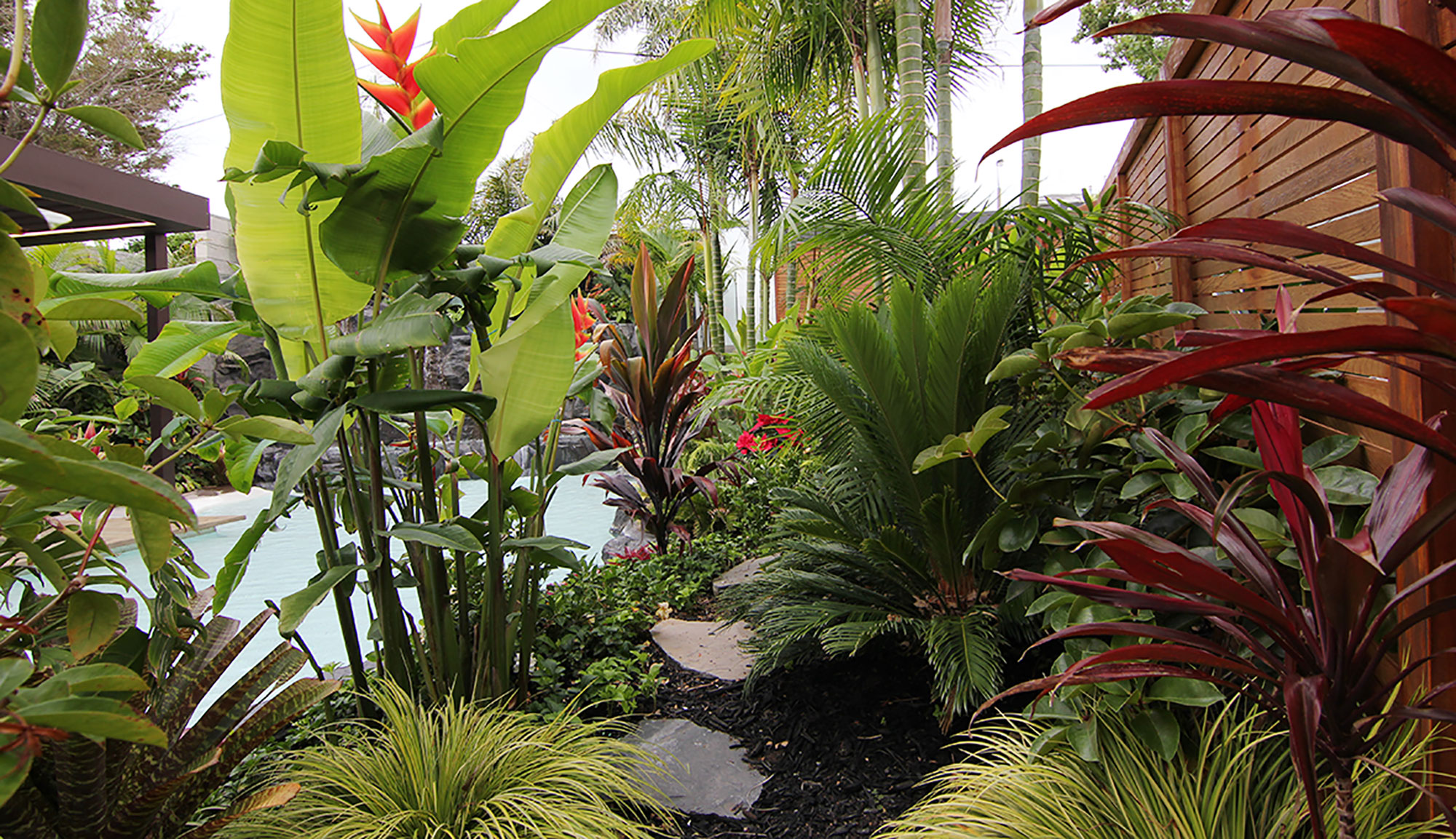 Resort style backyard | Project