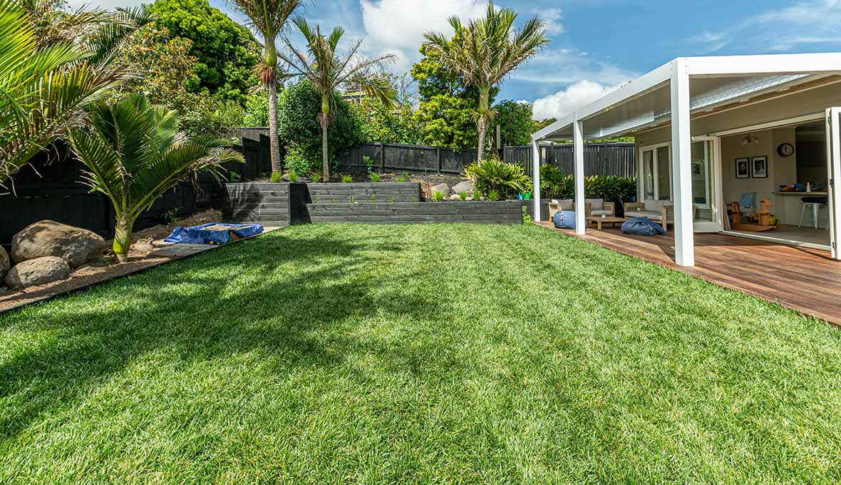 Transforming an Overgrown Garden into a Beautiful Space for Outdoor ...