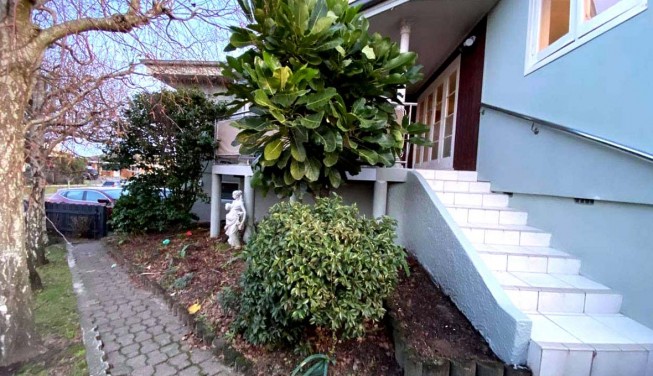 A new pathway and garden in Tauranga | Project