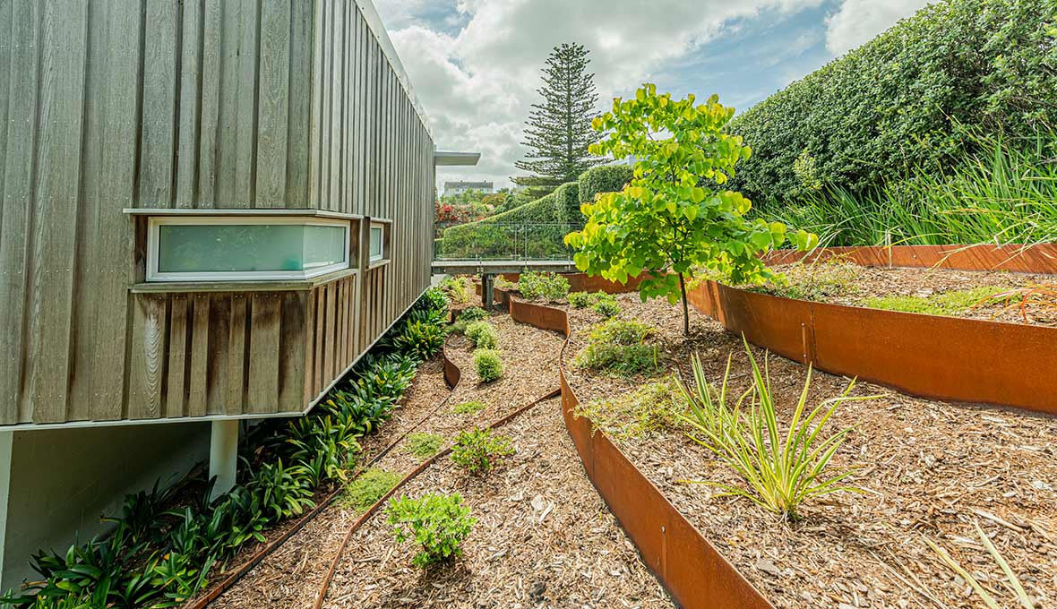 Cost of landscaping your backyard in New Zealand | Article