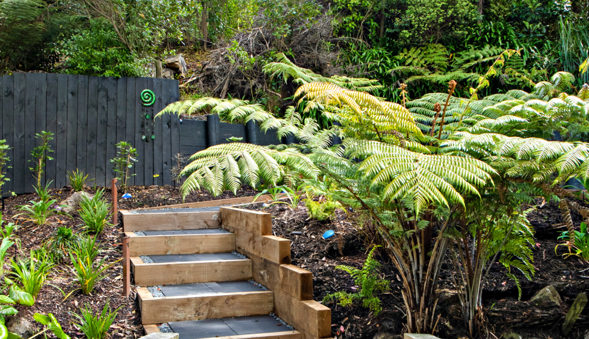 Transforming an overgrown backyard into a tranquil retreat in ...