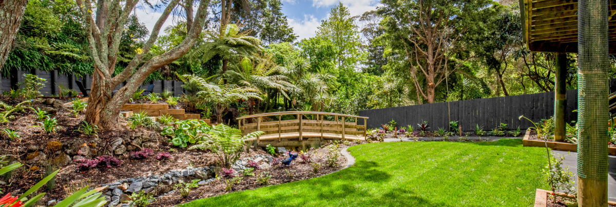 Transforming an overgrown backyard into a tranquil retreat in ...