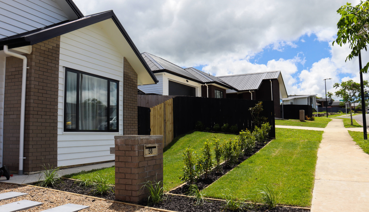 Remedying a lacklustre landscape in Warkworth, Auckland | Project